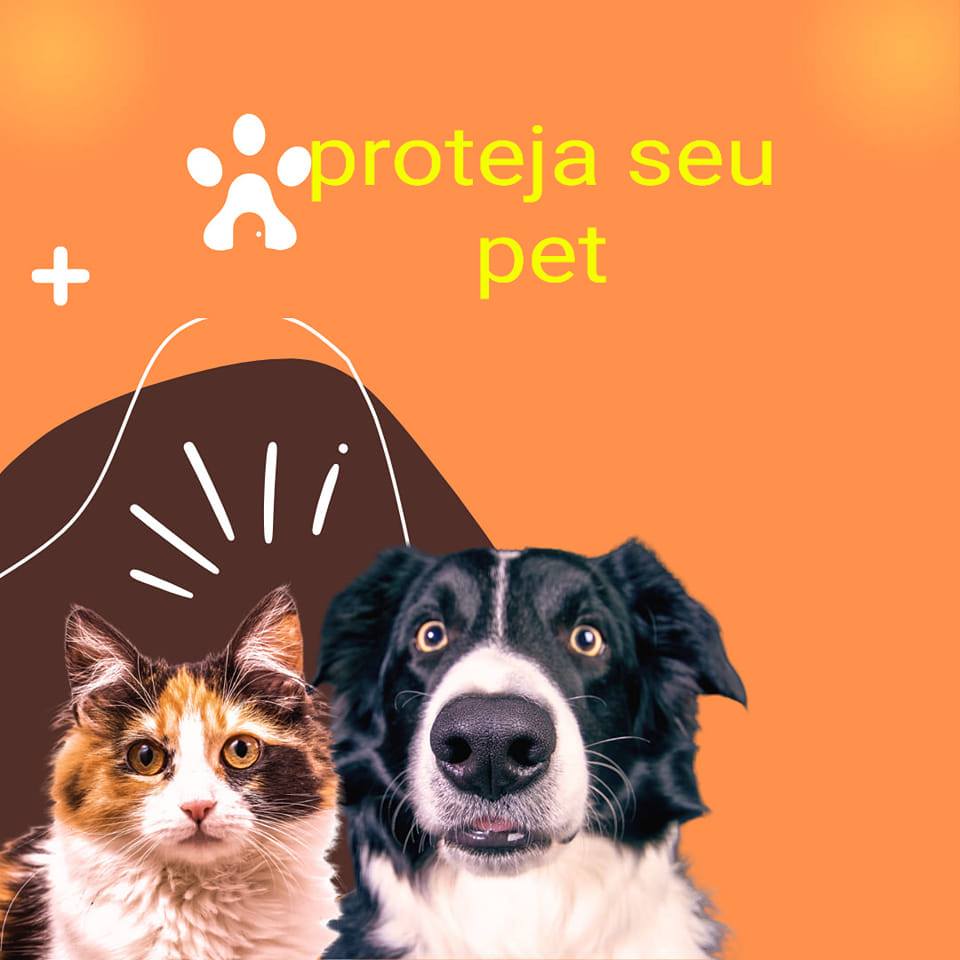 Four-legged Friends