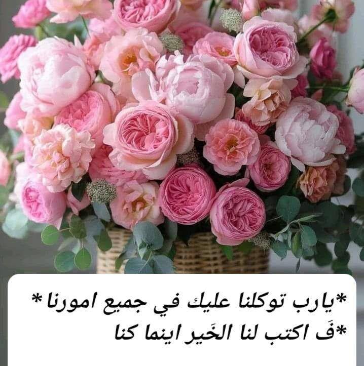 🎬 Such random sentences. 😂 Constructive feedback always welcome. ♥️ # ...