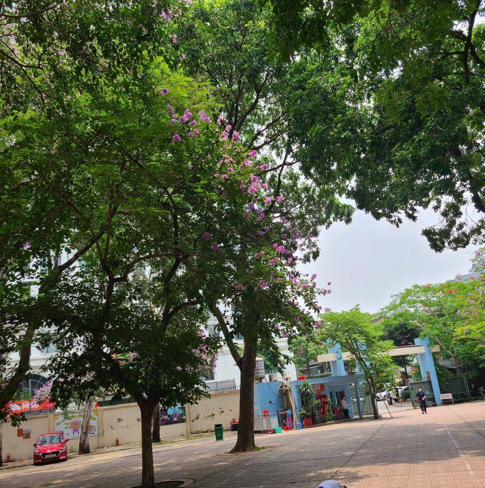Pi Tiên