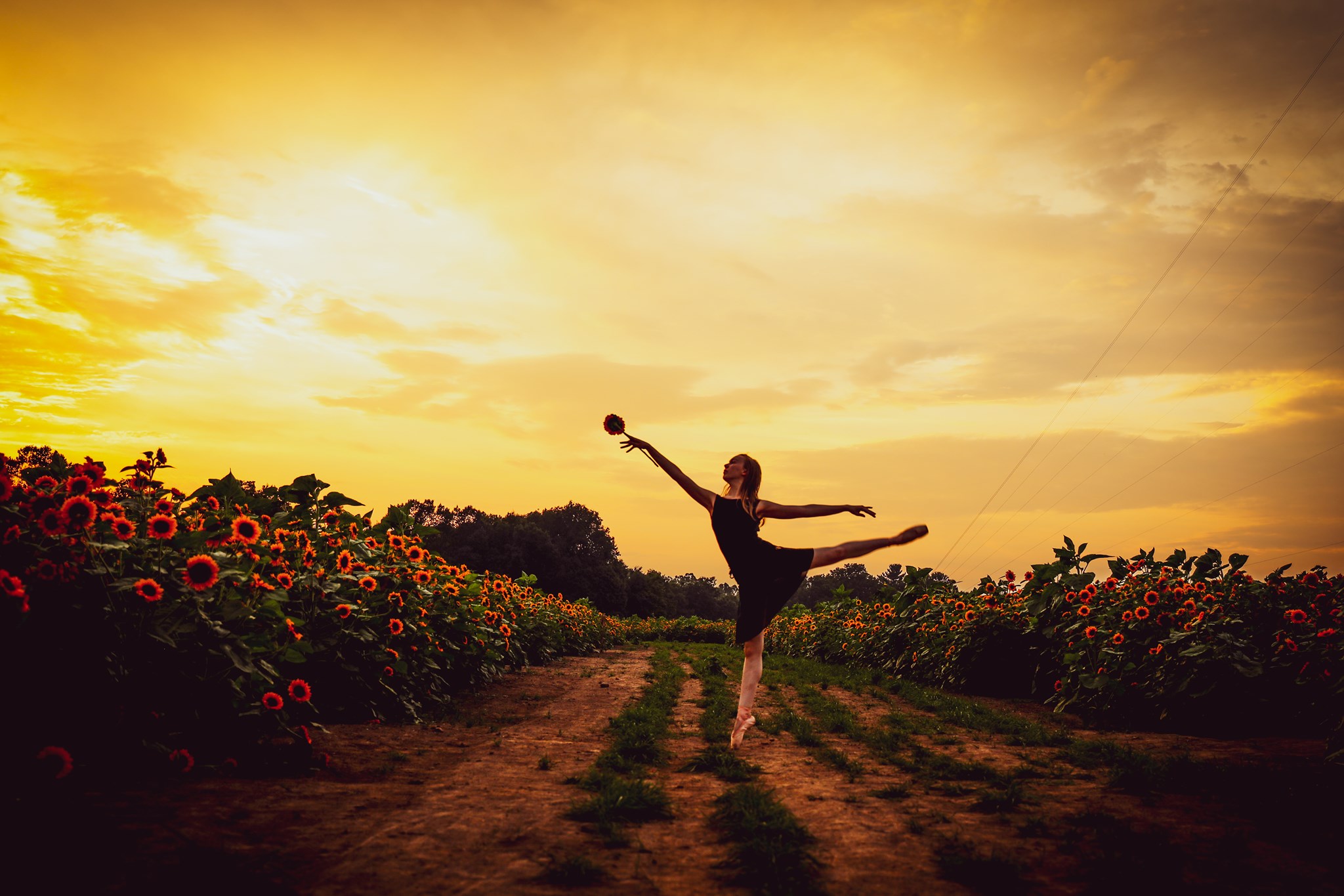 Ballerina In The Wild
