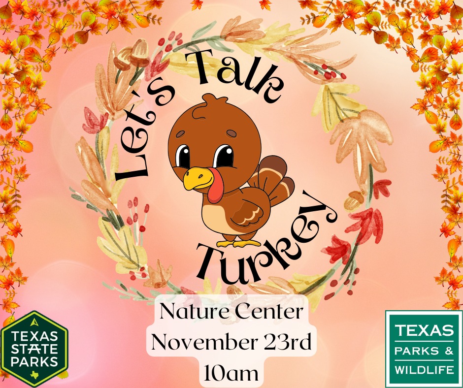 Let's Talk Turkey