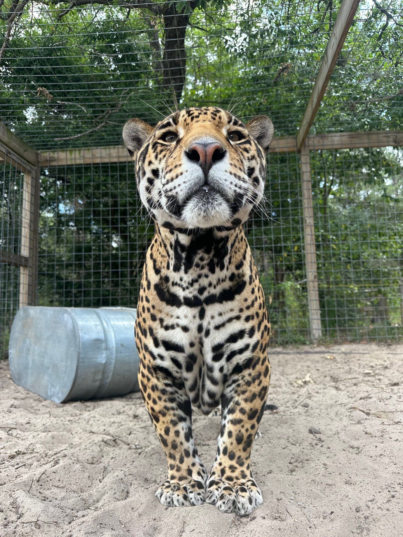 Safari Sammie Safari Sammie Added A New Photo