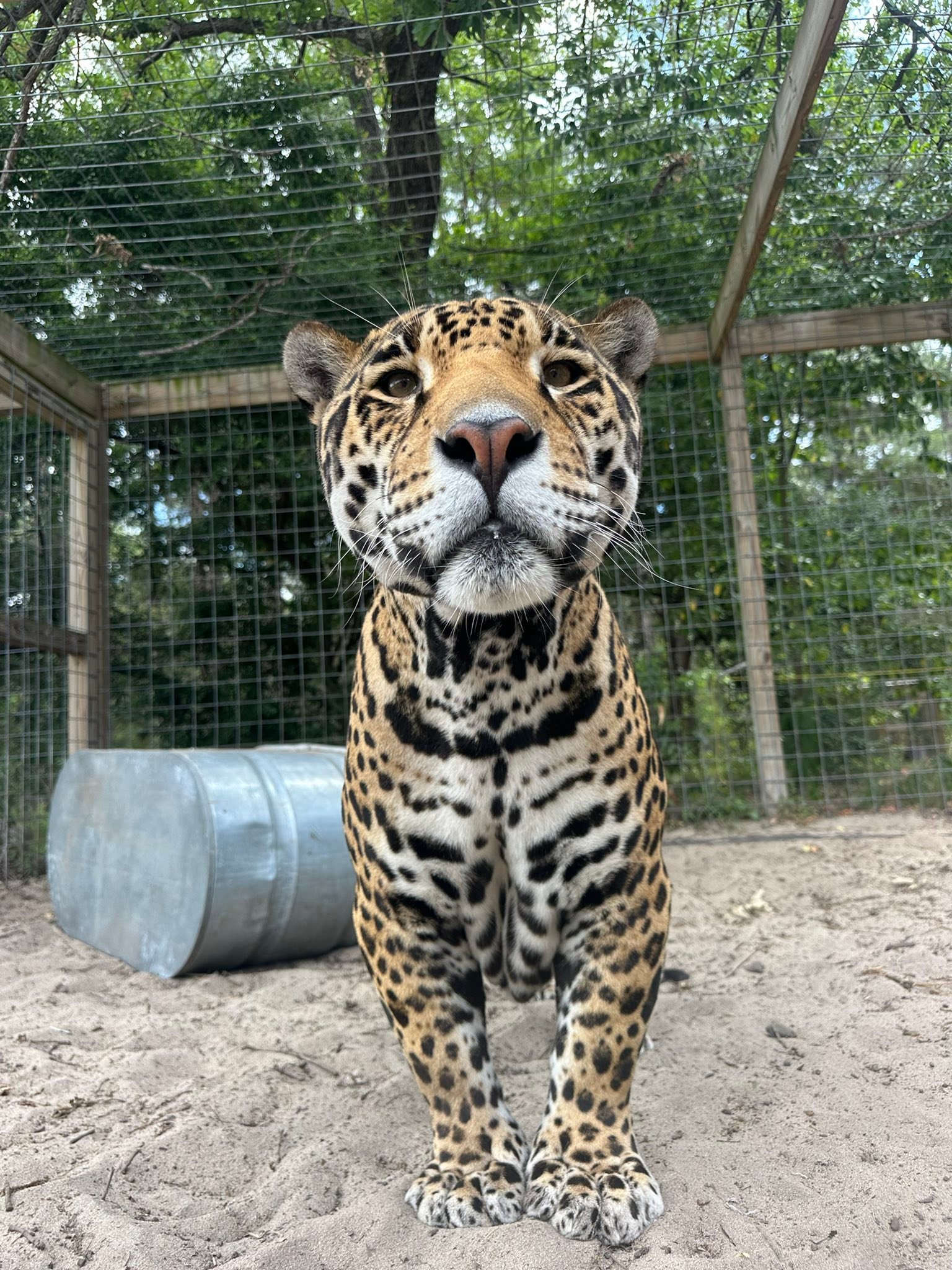 Safari Sammie Safari Sammie Added A New Photo