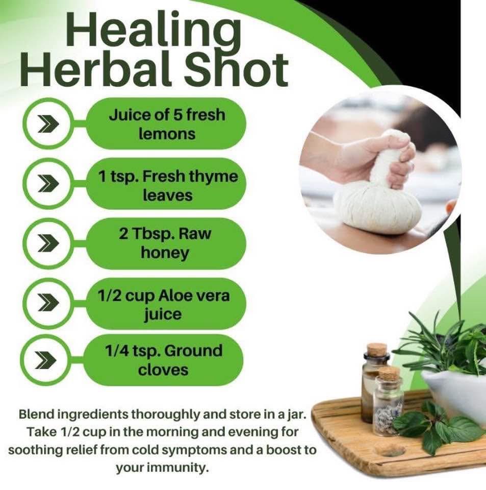 The 8 Laws of Health The True Remedies