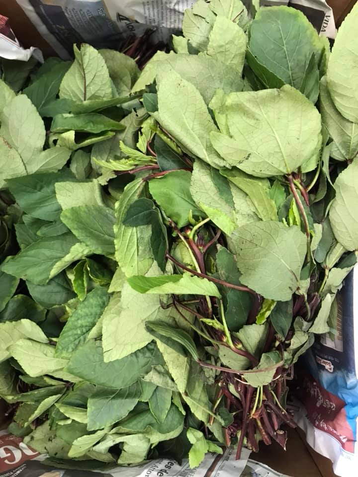 Kt Asian Mart New Vegetables Arrived Facebook