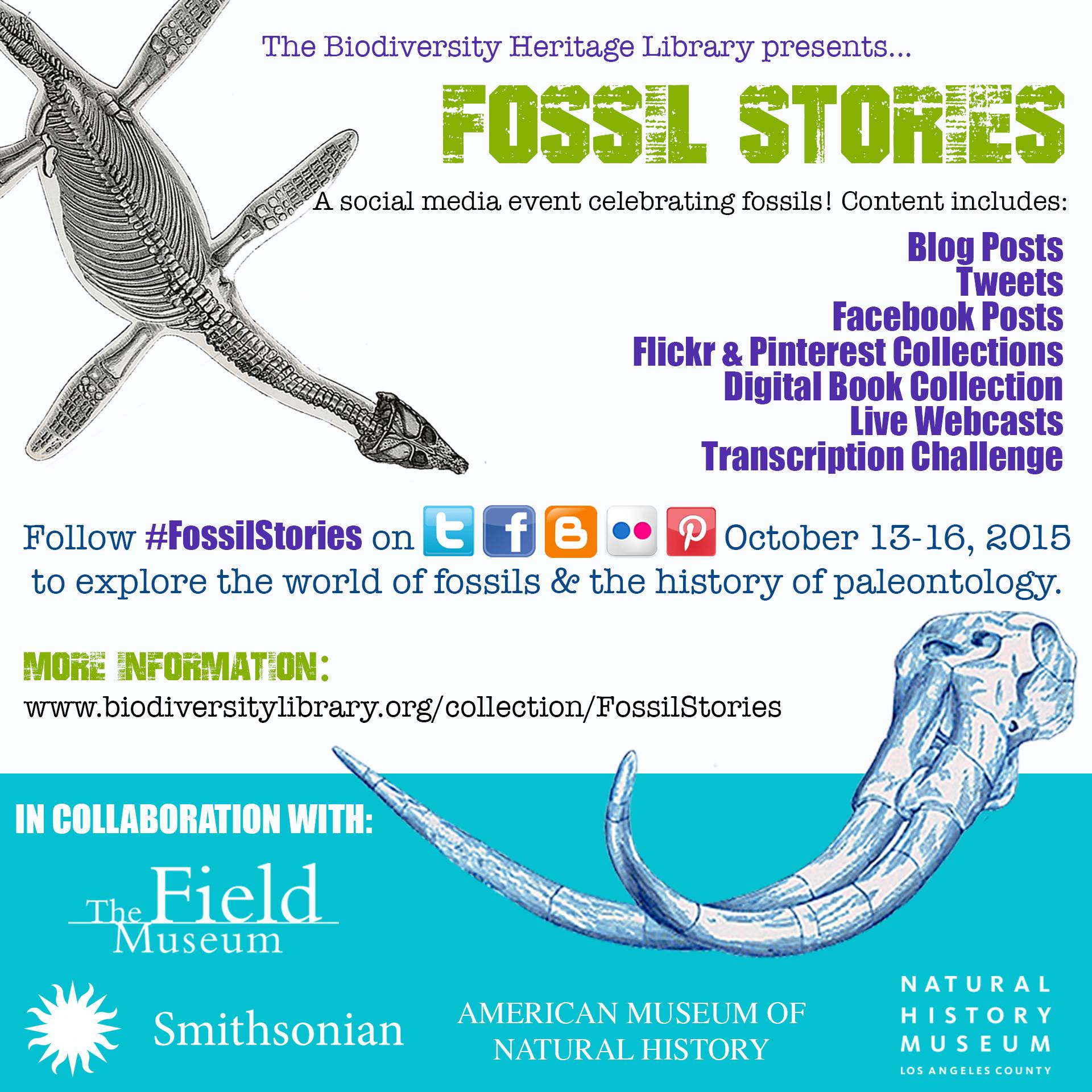 Biodiversity - Welcome to #FossilStories, our week-long celebration of ...