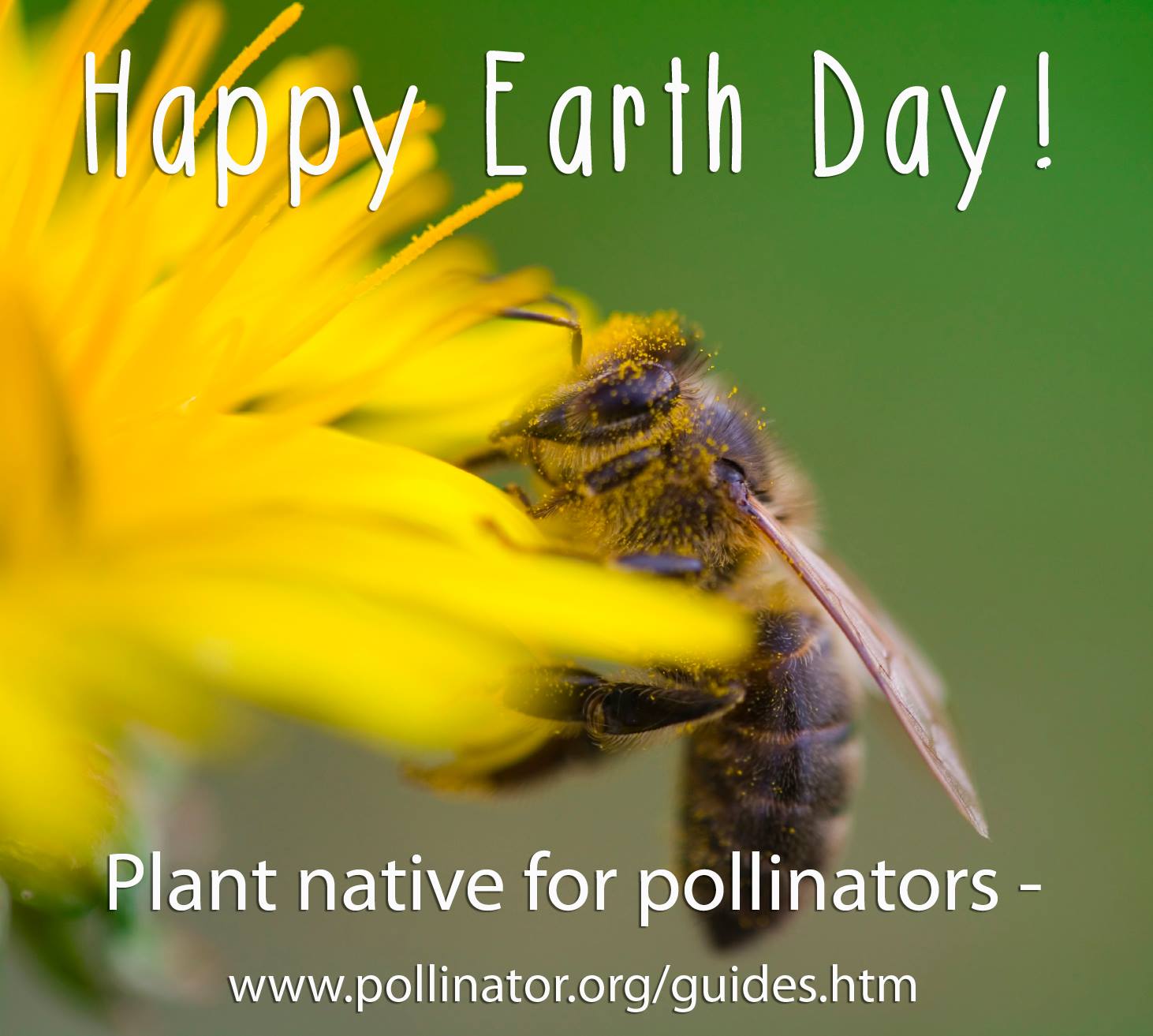 Happy #EarthDay! Visit... - The Pollinator Partnership