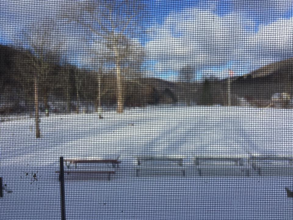 The Beauty And Silence Of Winter Butternut Grove Campsites