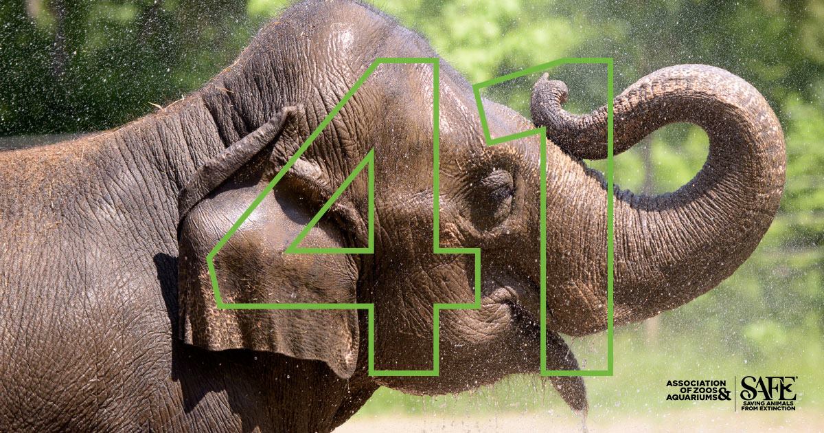 Poachers and... - The Association of Zoos and Aquariums | Facebook