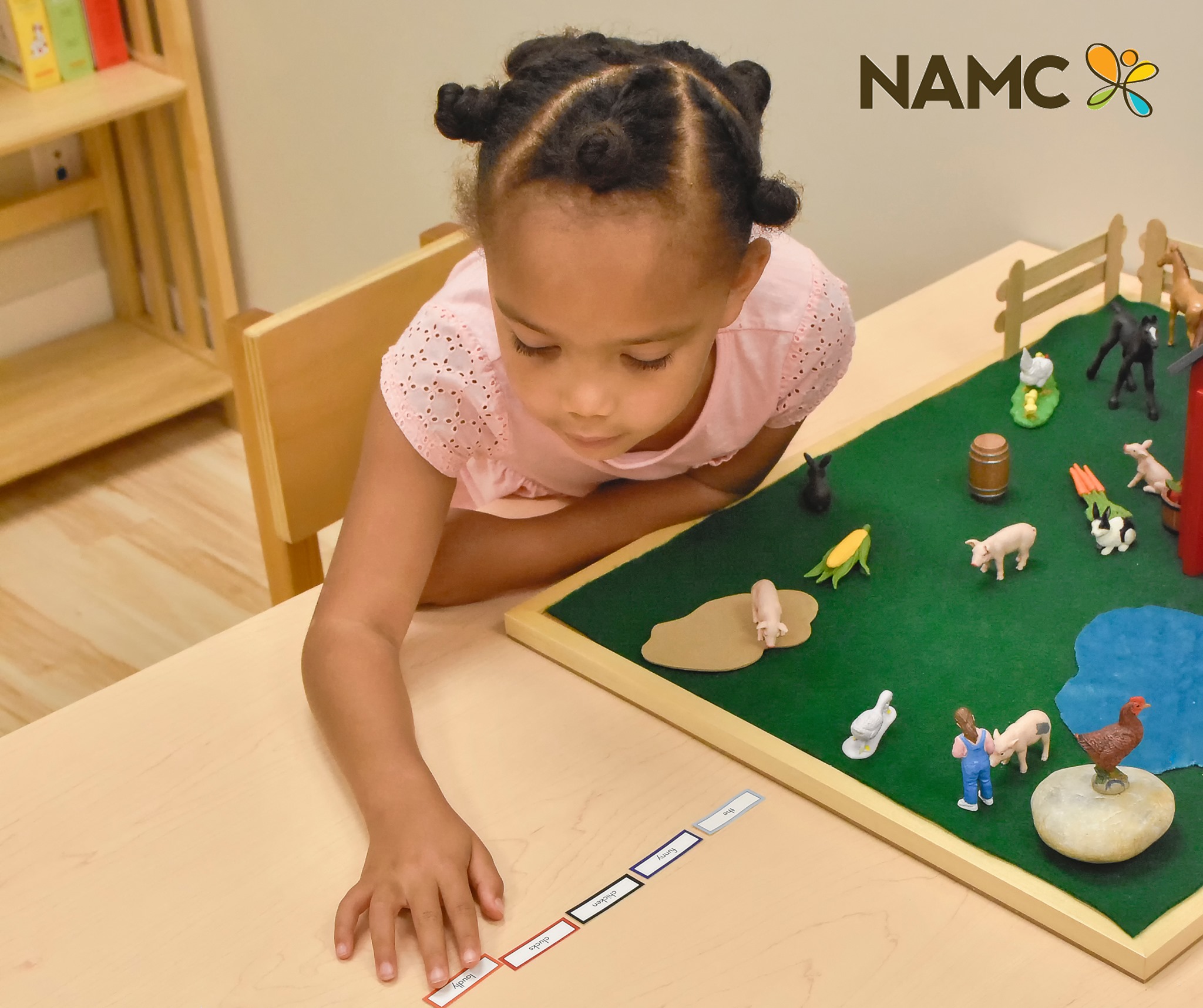 The Montessori... - North American Montessori Center (NAMC) | Facebook