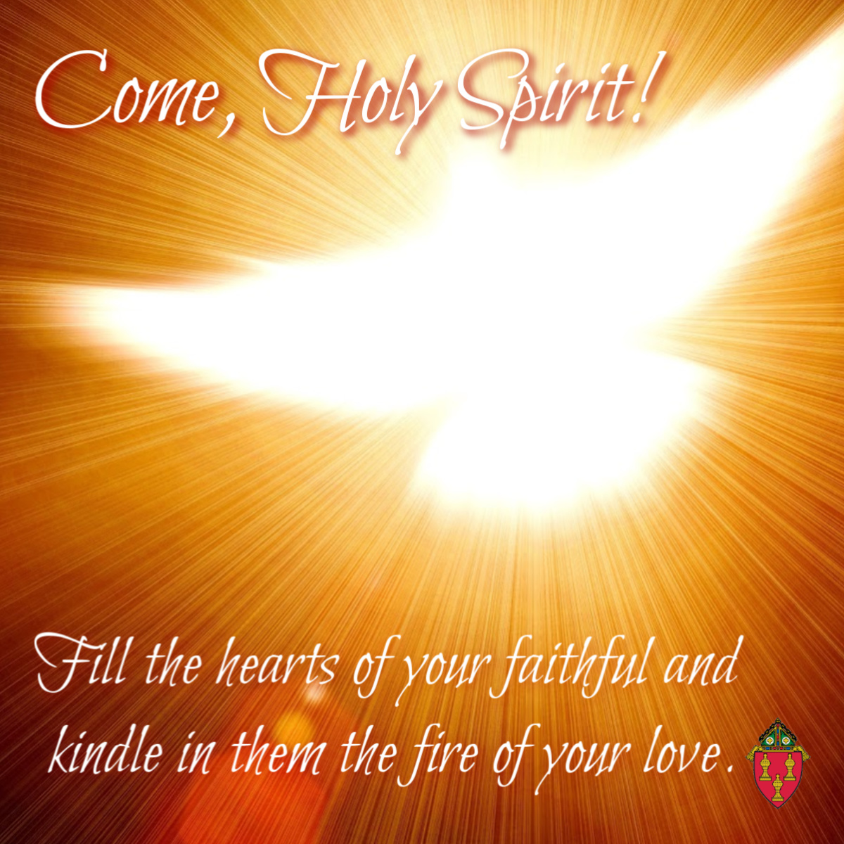 Today we celebrate Pentecost... - Diocese of Corpus Christi | Facebook