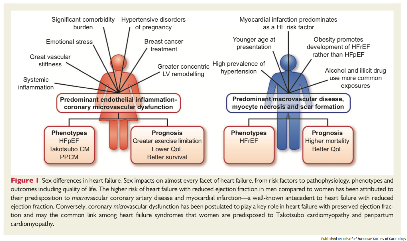 Esc Journal Club Sex European Society Of Cardiology