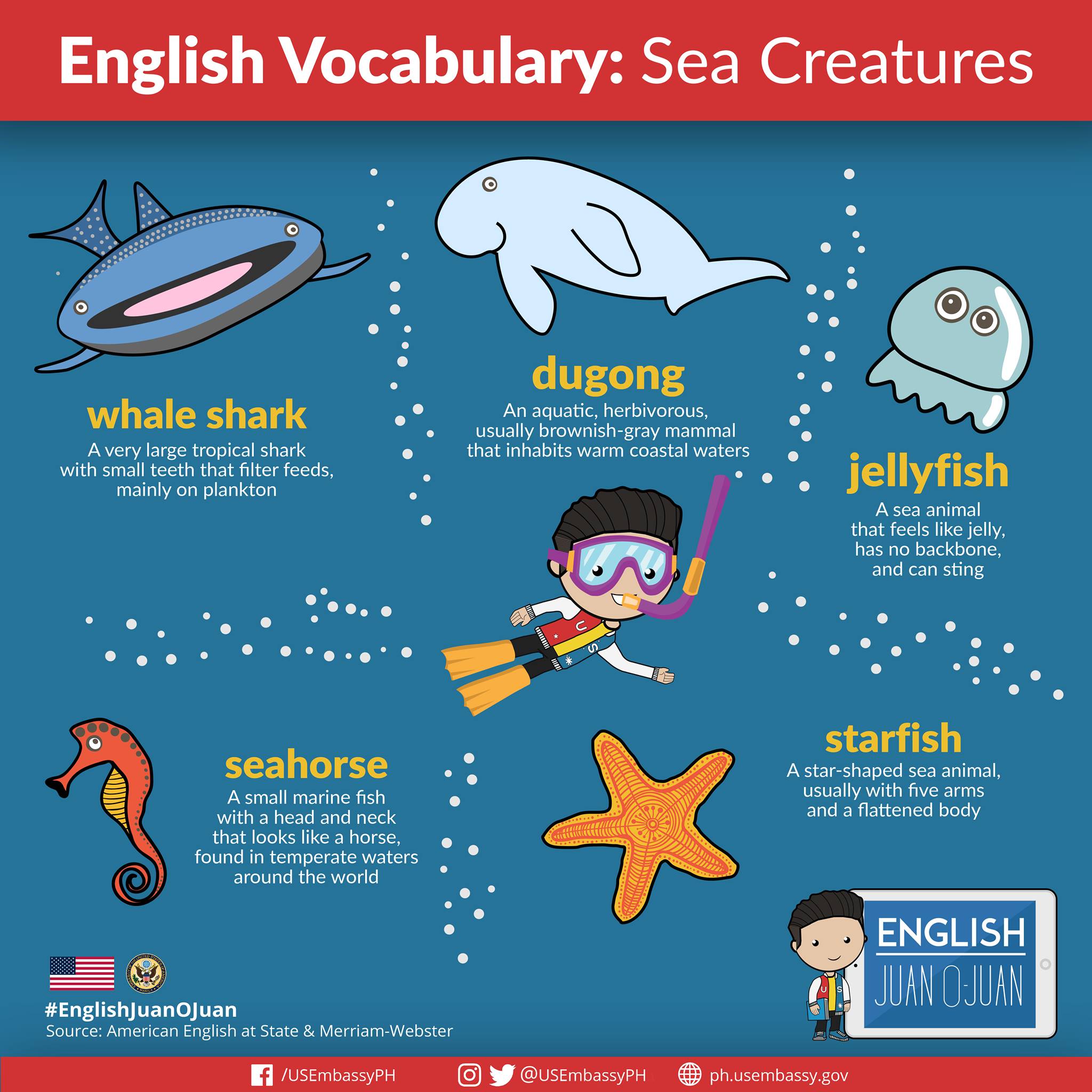 U.S. Embassy in the Philippines - This #WorldOceanMonth, get to know ...