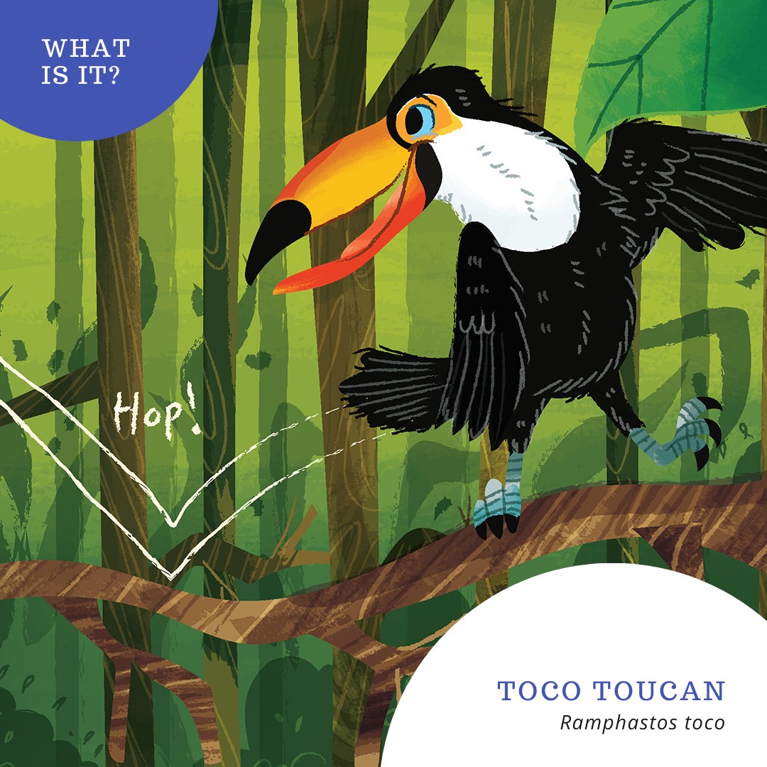 Science - Did you get last week's "What is it?" right? Learn more about ...