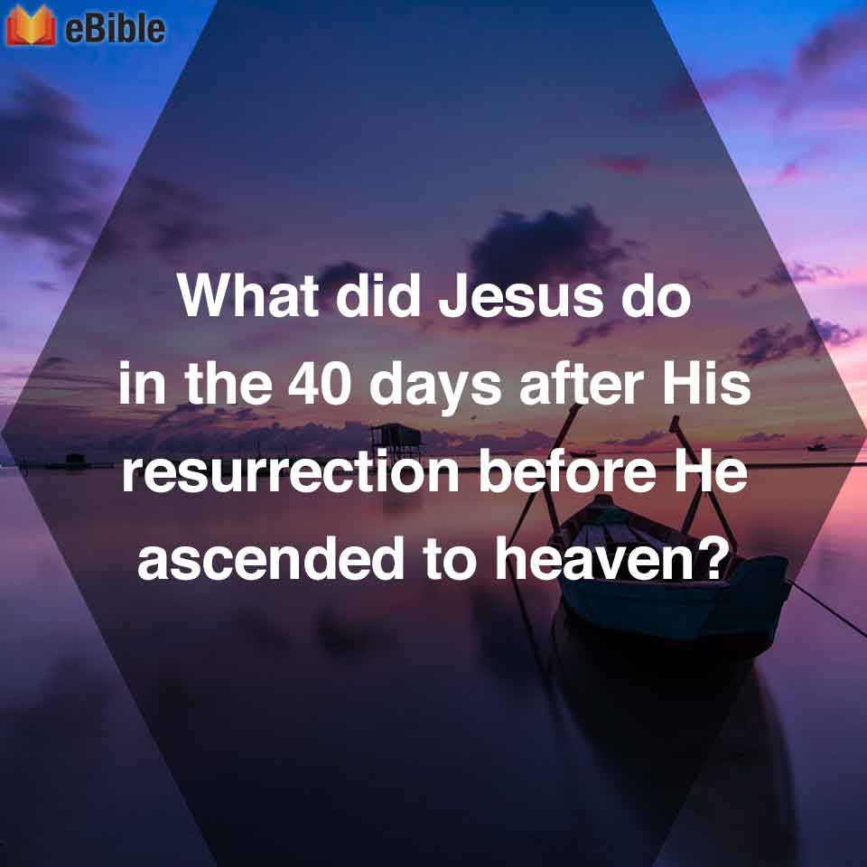 Love What Did Jesus Do In The 40 Days After His 0997
