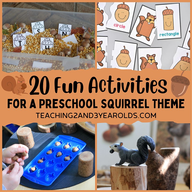 This collection of preschool squirrel theme activities is great to add ...