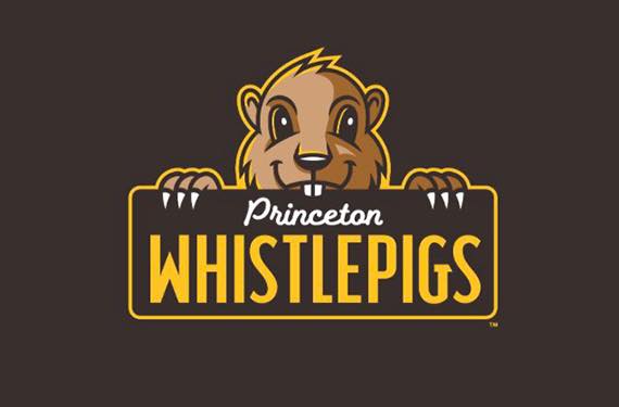 Sportslogos Net Its Groundhog Day In The Appy League The Princeton