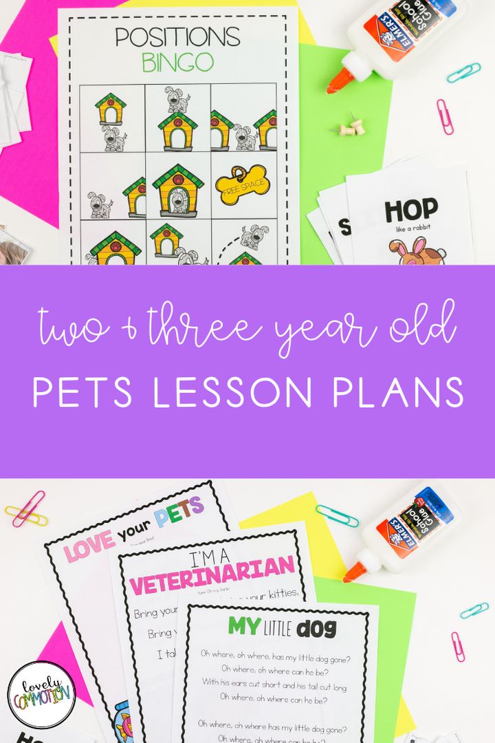 This Pets themed Play-Based Lesson Plan... - Lovely Commotion