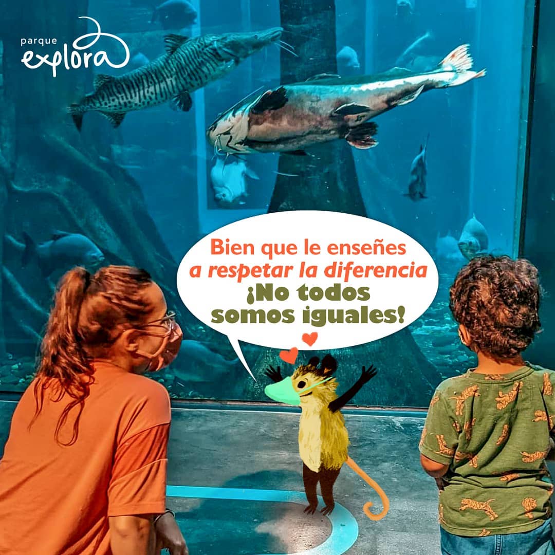 Parque Explora - Exponerse desde la INFANCIA a la... | Facebook