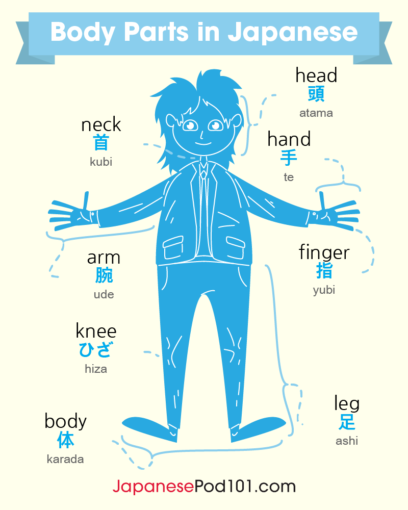 Learn - 👅👂 Body Parts in Japanese! Learn Japanese with the best FREE ...