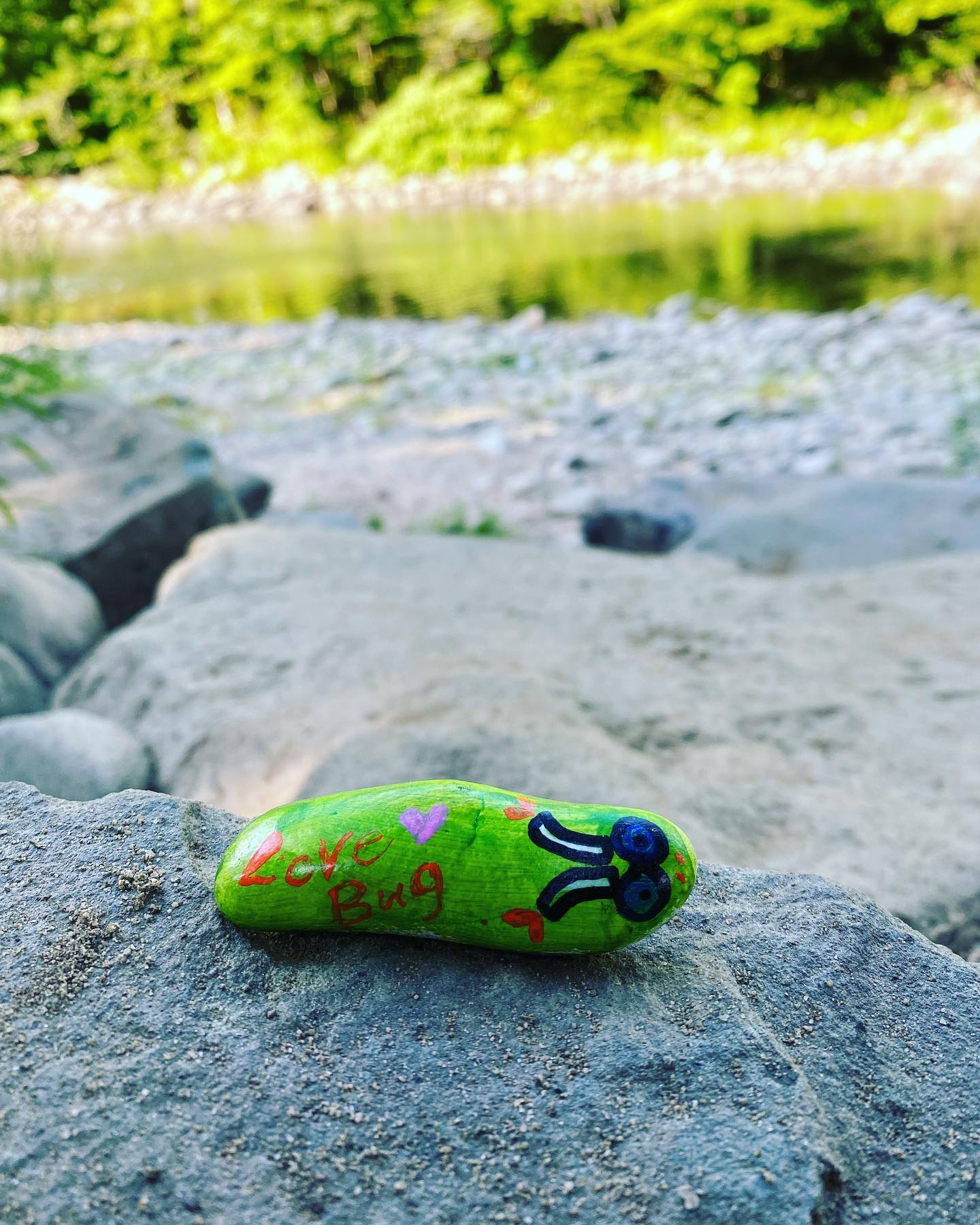 Butternut Grove Campsites