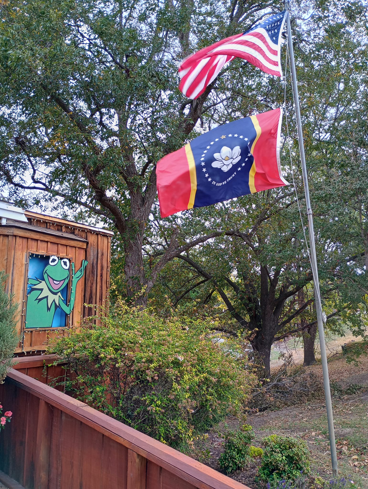 Visit All 50 States Birthplace Of Kermit The Frog Museum Facebook 8852