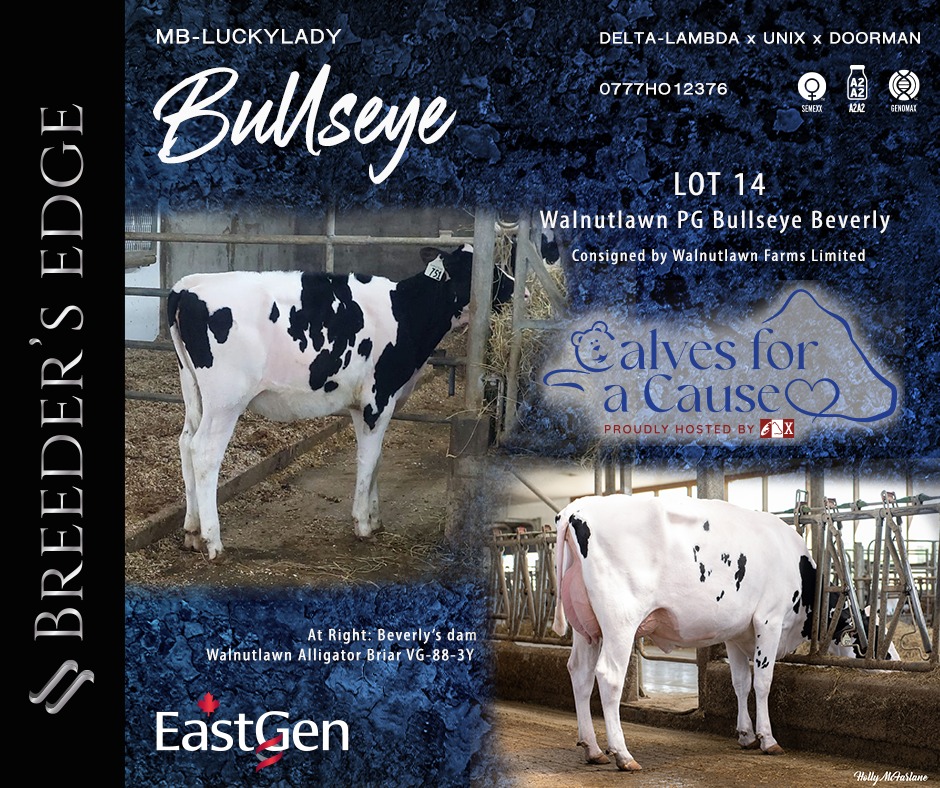 Eastgen 🎯 This Sensational Pedigreed Bullseye Daughter