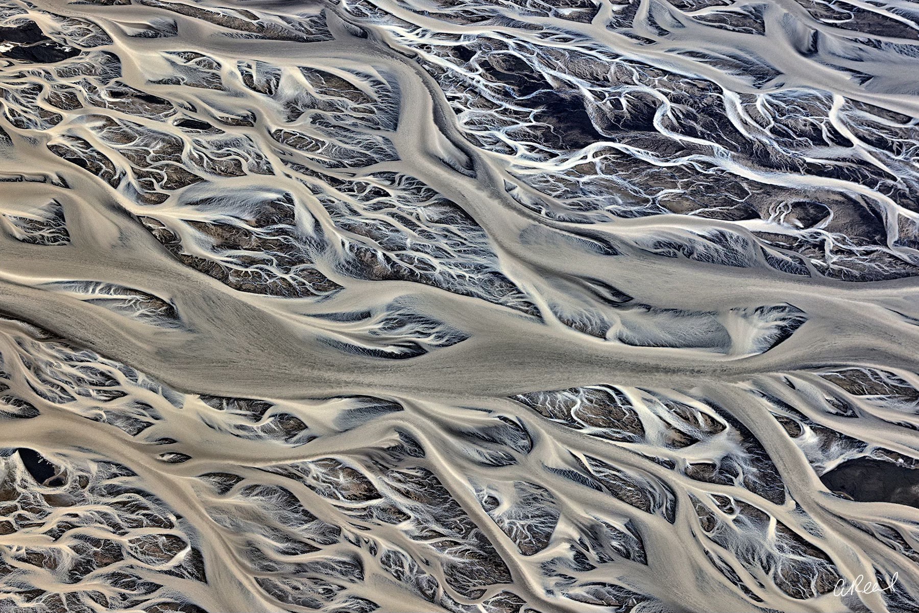 Aaron Reed