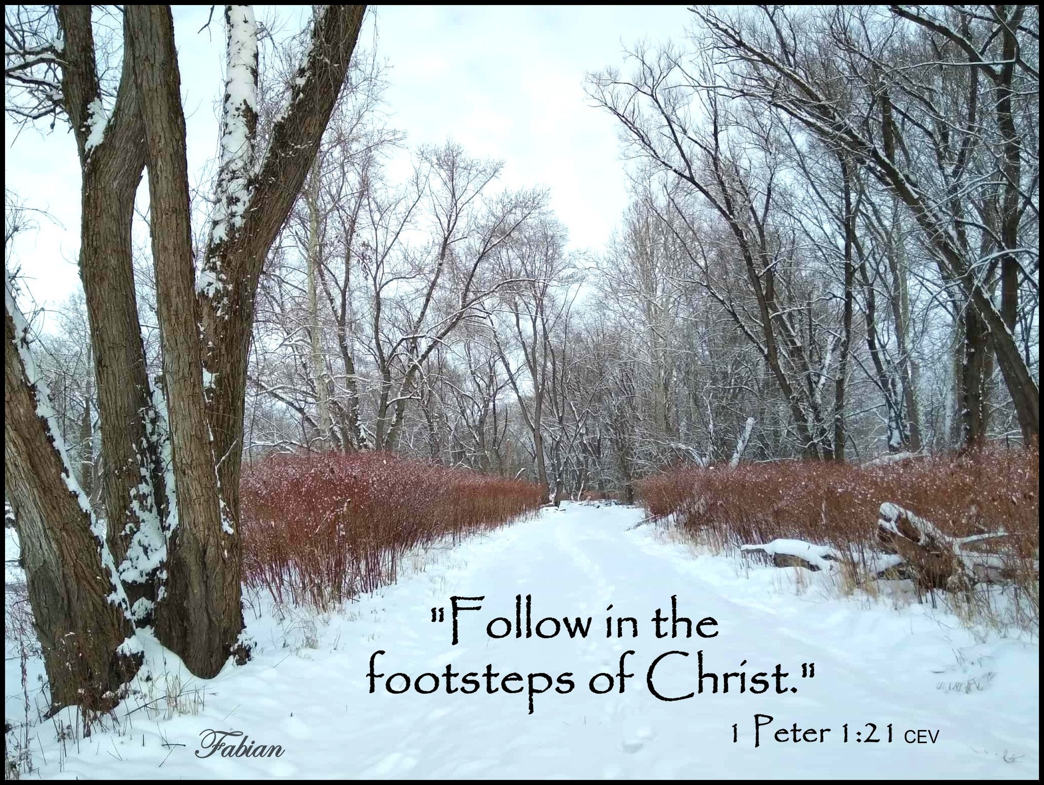 Karen - Following in Christ’s footsteps isn’t taking the easiest road ...