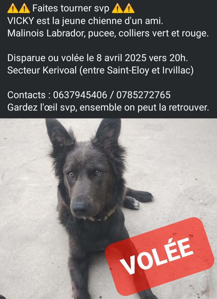 Landerneau Volée Dans Son Jardin Il Y A 1 Semaine Facebook