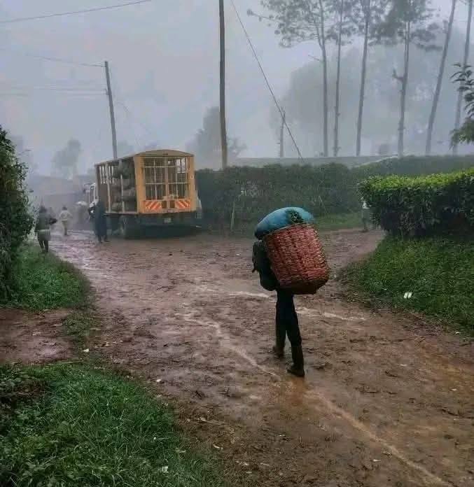 Mambo Bado Huyu Contrator Ni Amos Kamenyi Wa Kimenyi Facebook