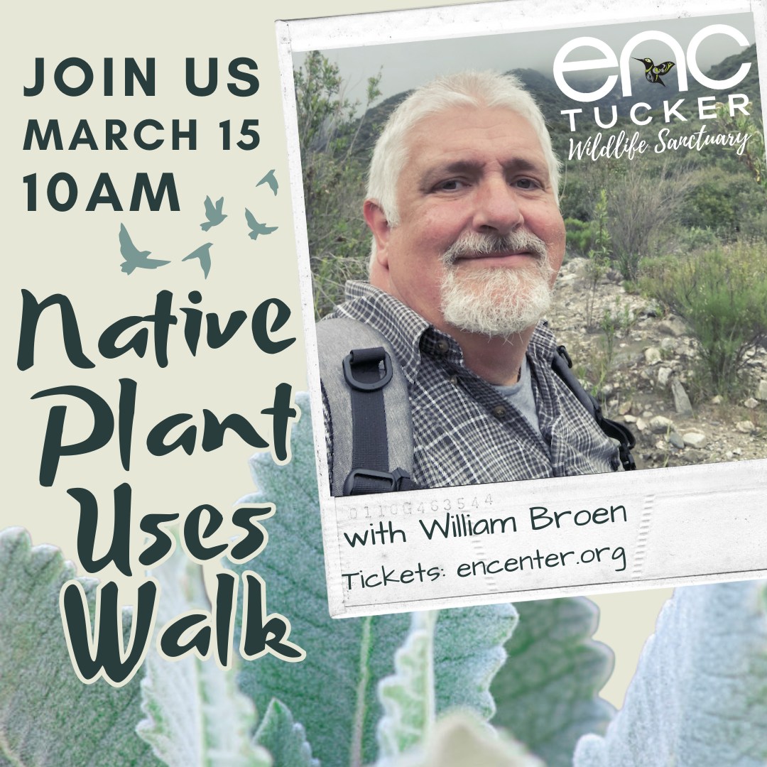 Environmental Nature Center Enc Newport Beach Ca