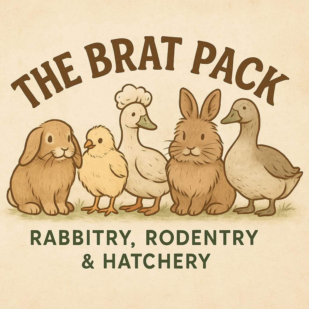 The Brat Pack Rabbitry, Rodentry & Hatchery