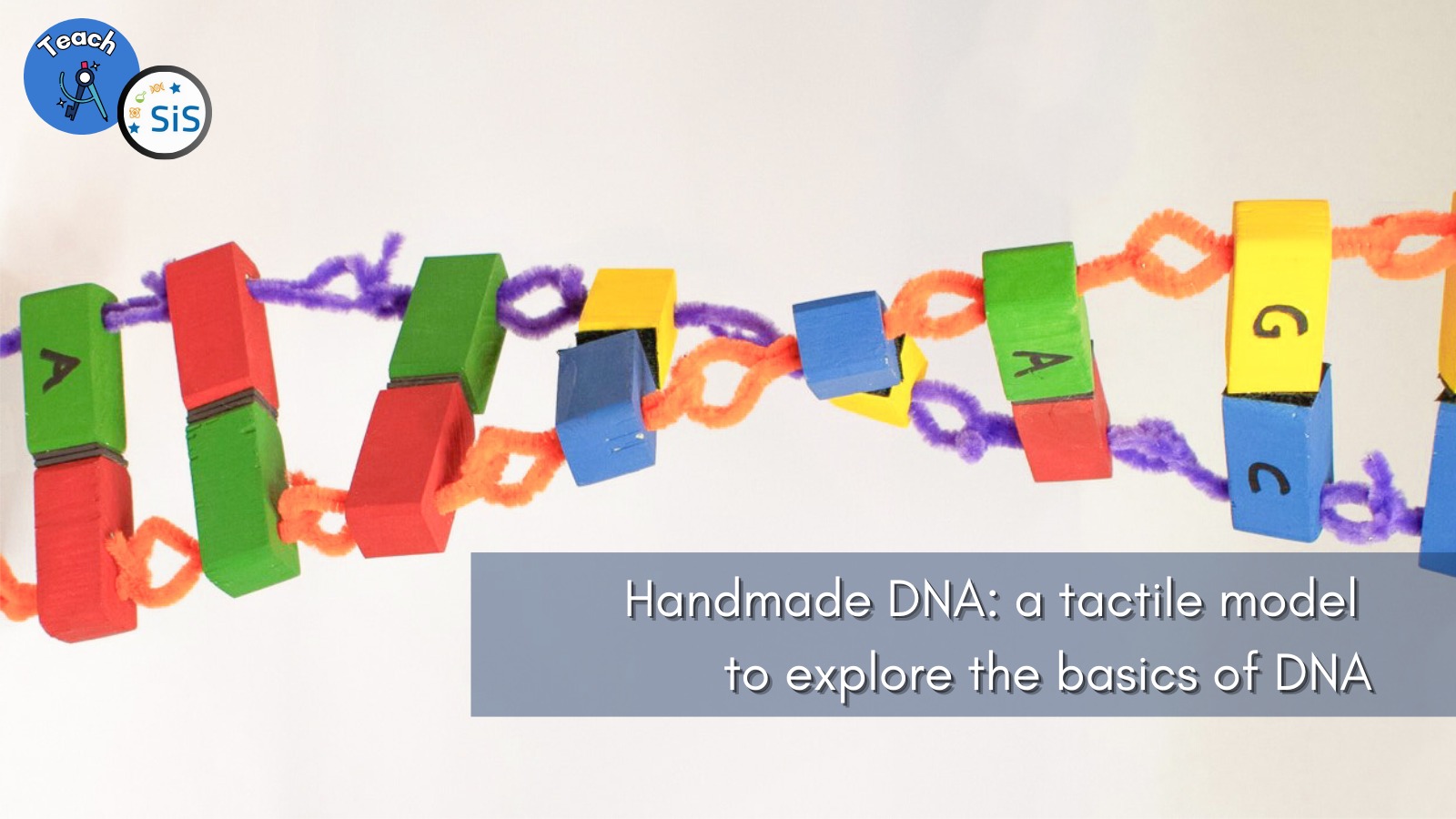 Science - DNA is not visible, and therefore, understanding its ...