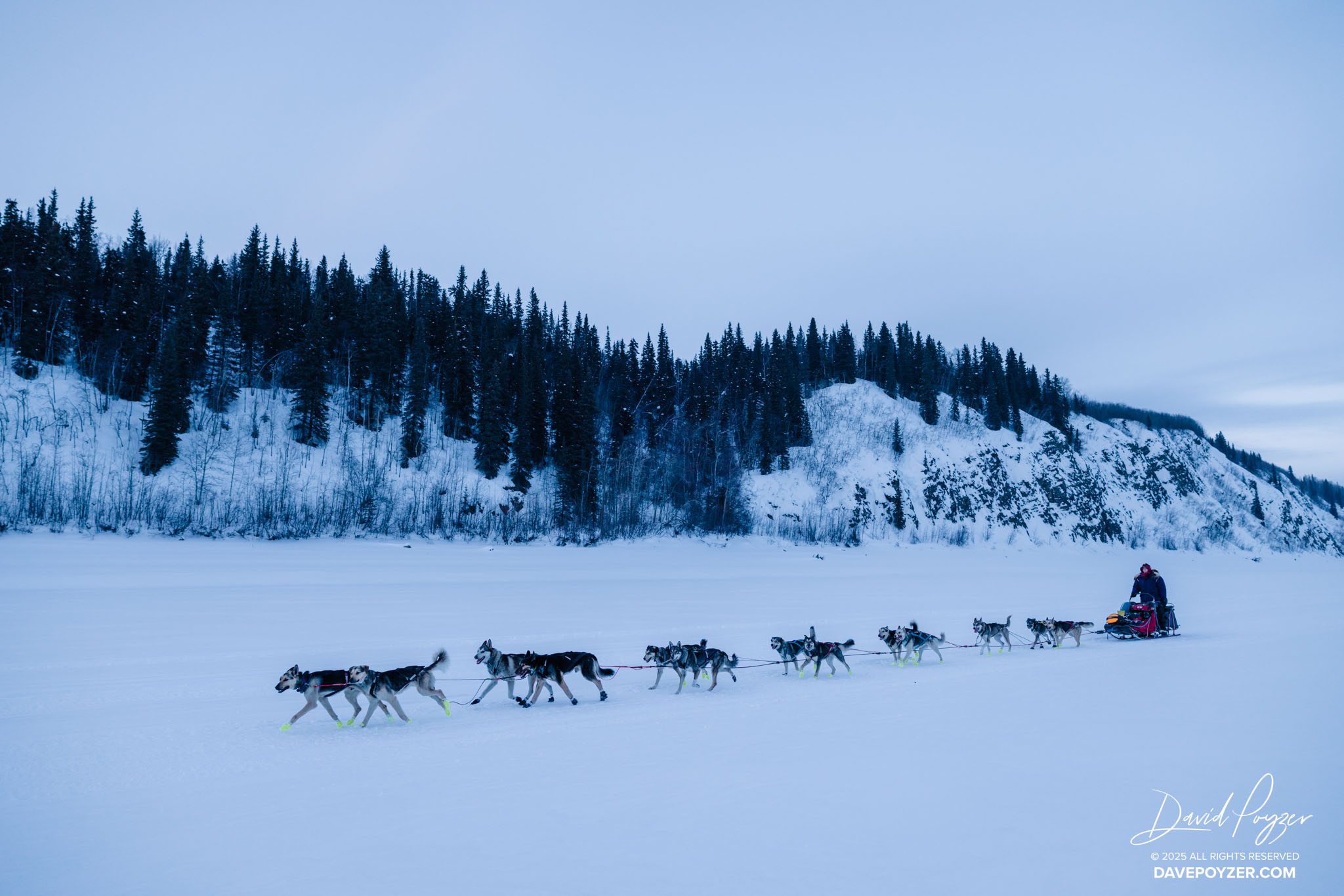 The Iditarod - Rookie Iditarod musher, Jenny Roddewig (bib #10), of ...