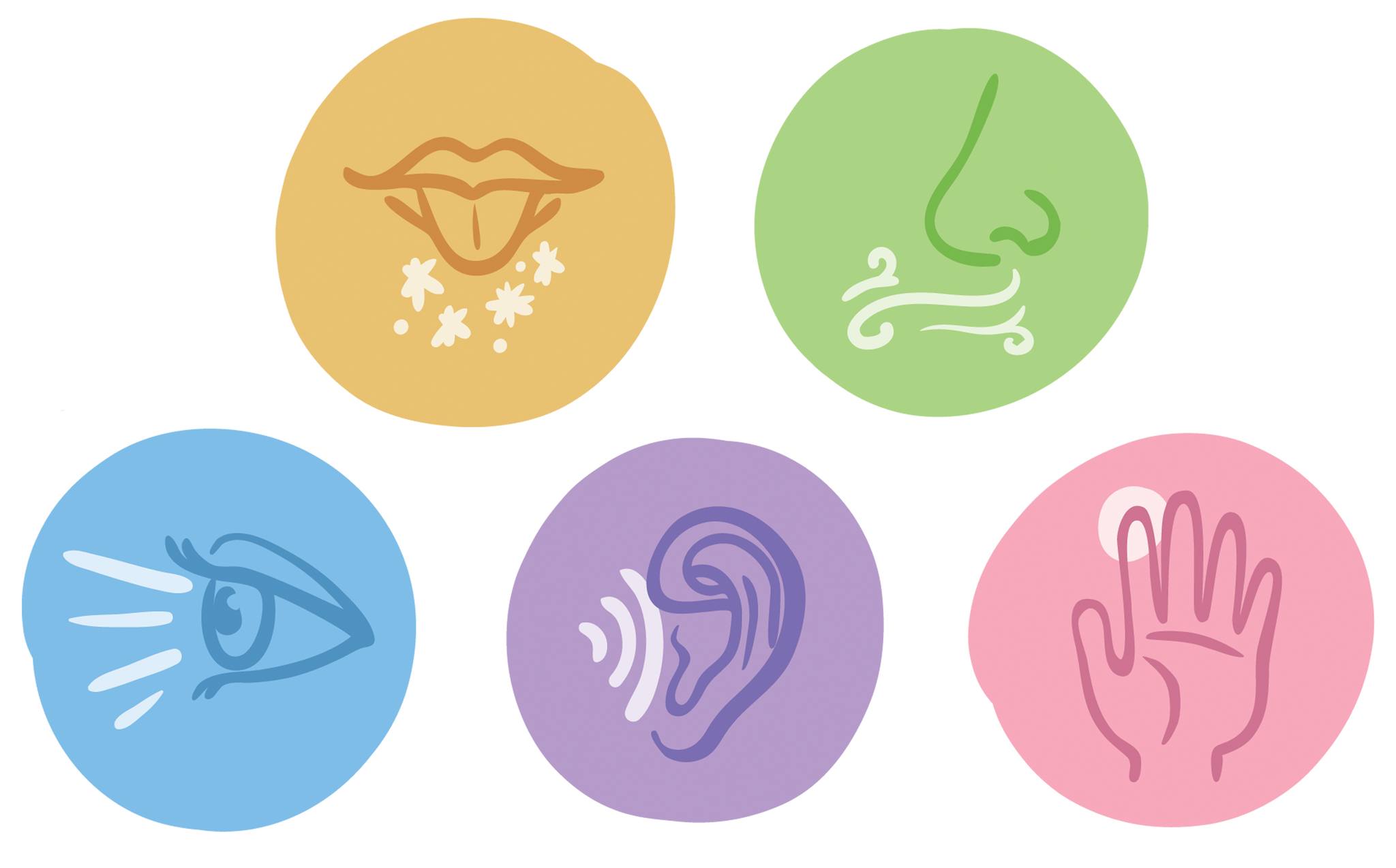 Eureka - This weekend, discover the magic of the senses! 👃🖐️👁️👅👂 In our ...