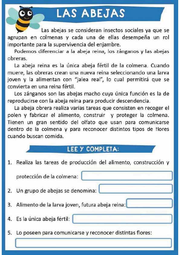 Lecturas de comprensión lectora... - Material para Maestros | Facebook