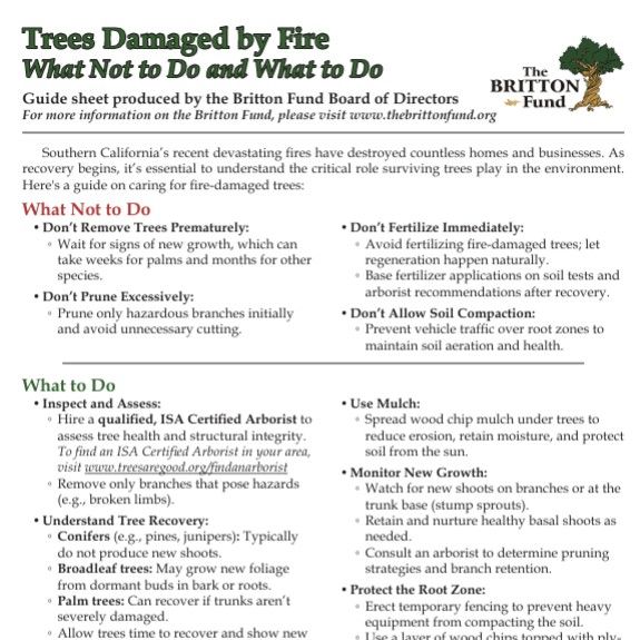Forestscapes Llc