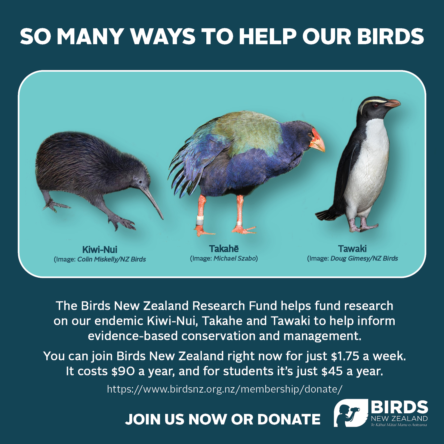 New Zealand Birds Online