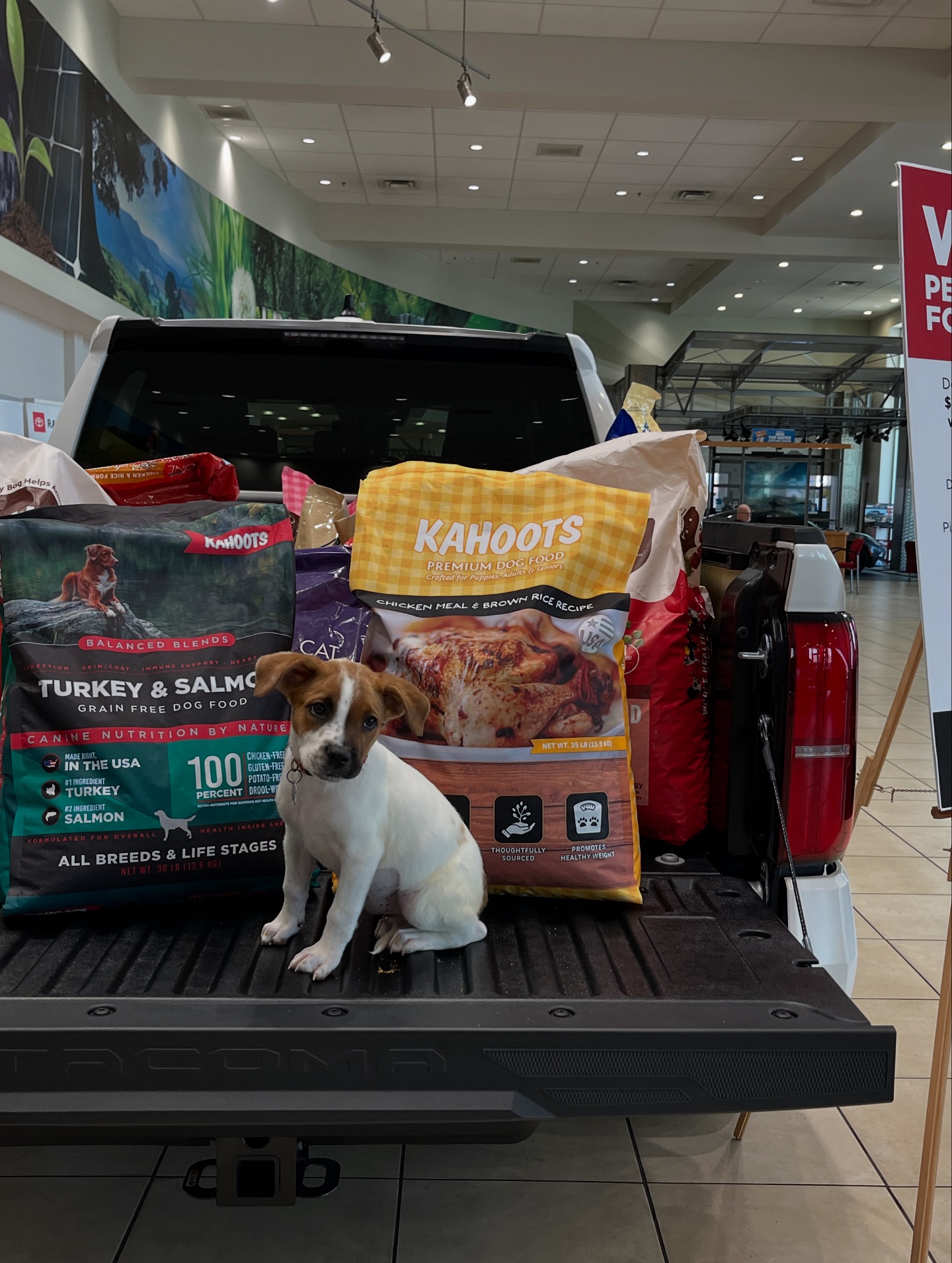 Kahoots Feed and Pet added a new photo. - Kahoots Feed and Pet