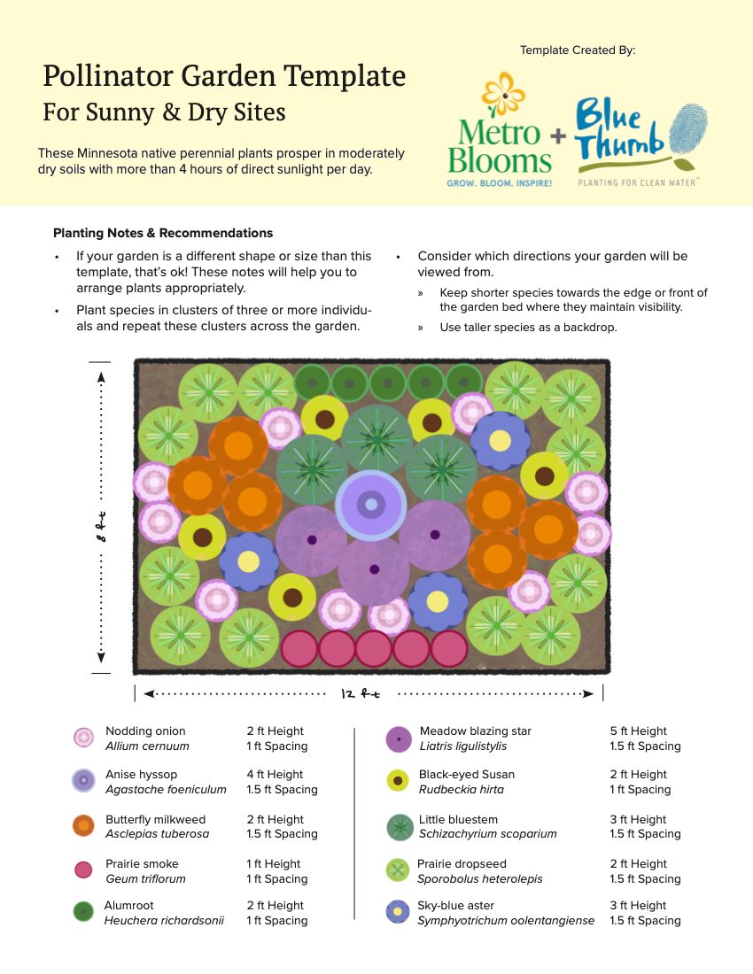 Blue - Create a thriving pollinator habitat with a garden design ...