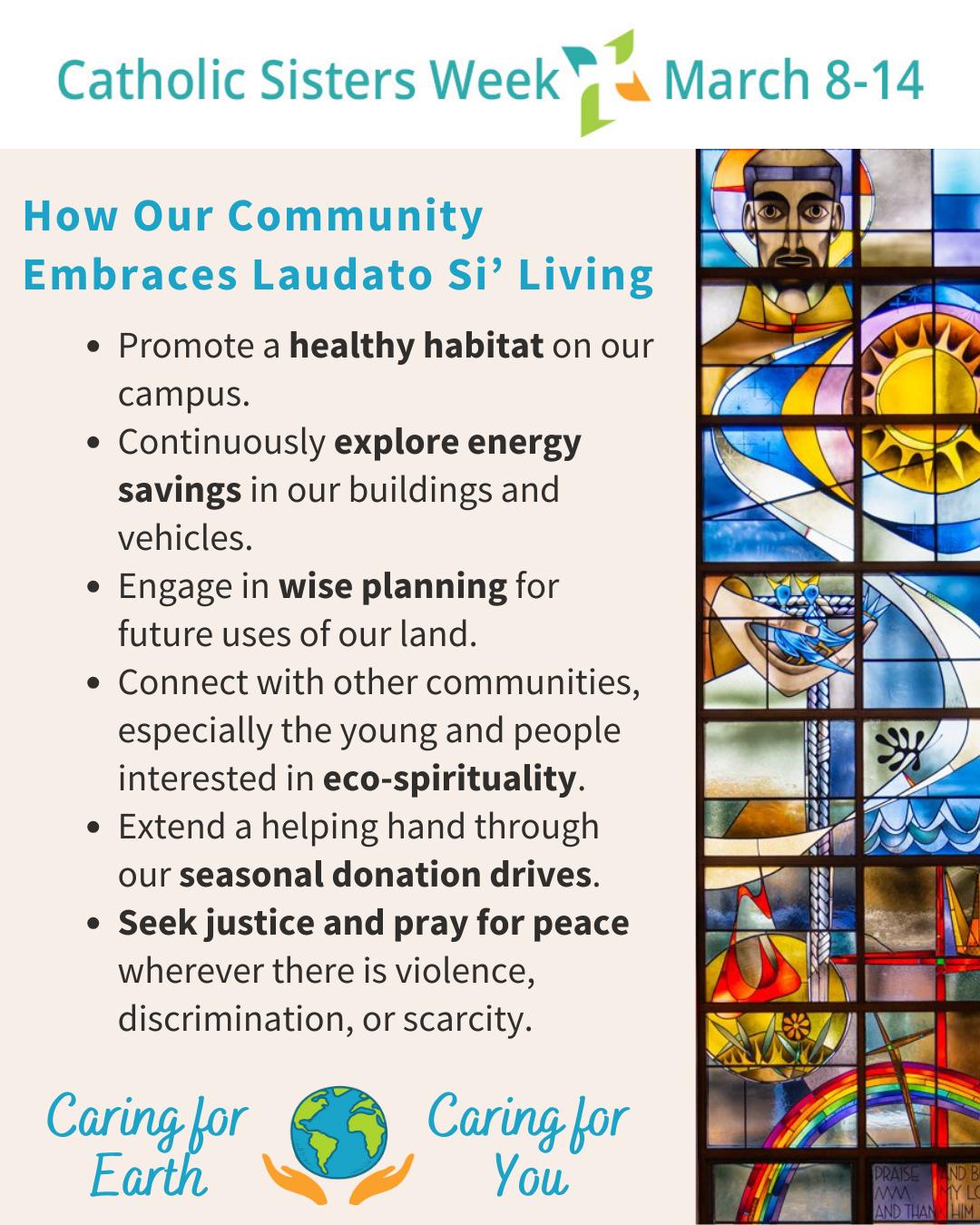 Wheaton - Celebrating Catholic Sisters Week! From March 8-14, we honor ...