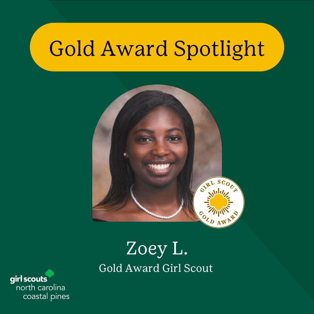 Girl When Gold Award Girl Scout Zoey Noticed The Growing Impact Of 1105