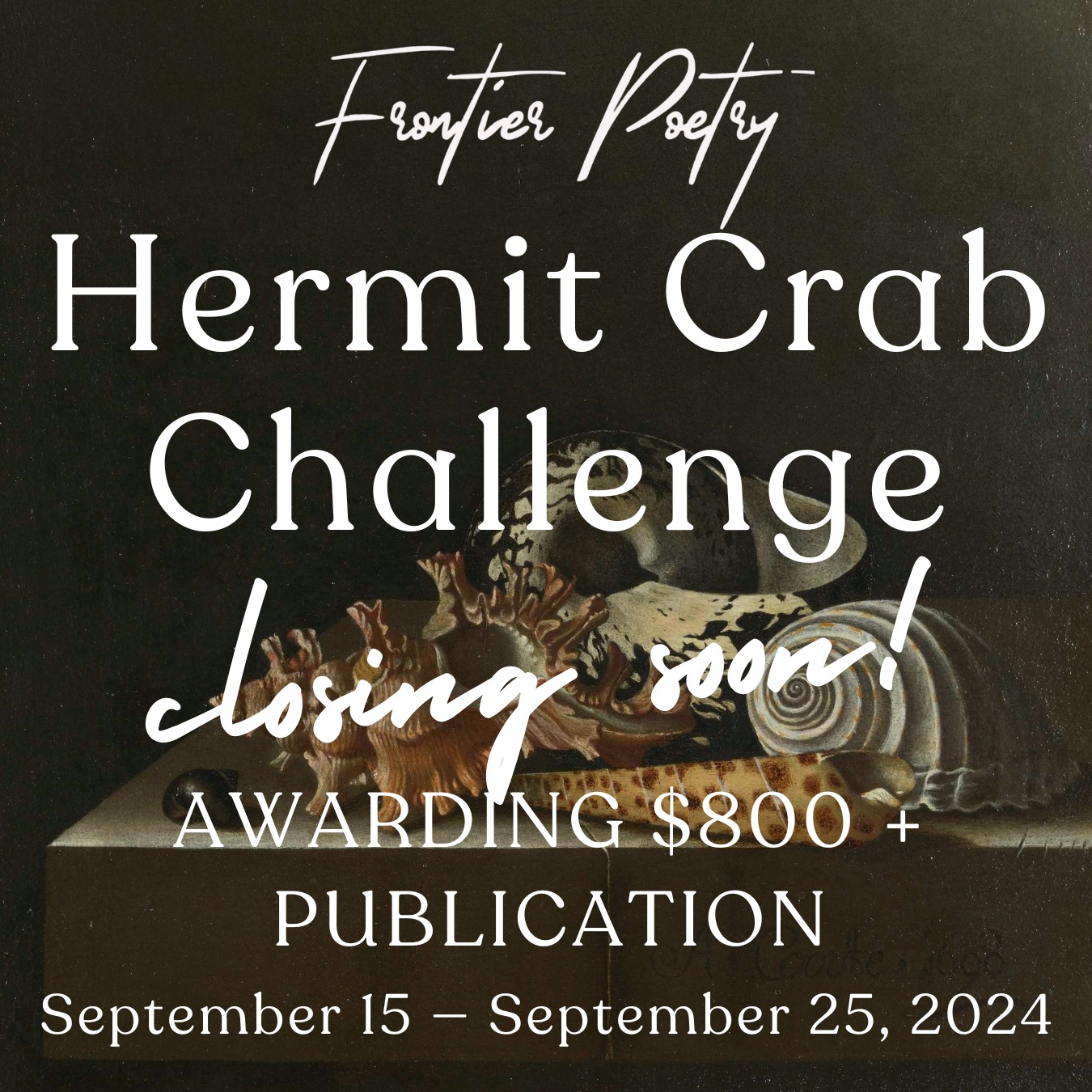 Frontier - Our Hermit Crab Challenge closes on September 25th! A hermit ...