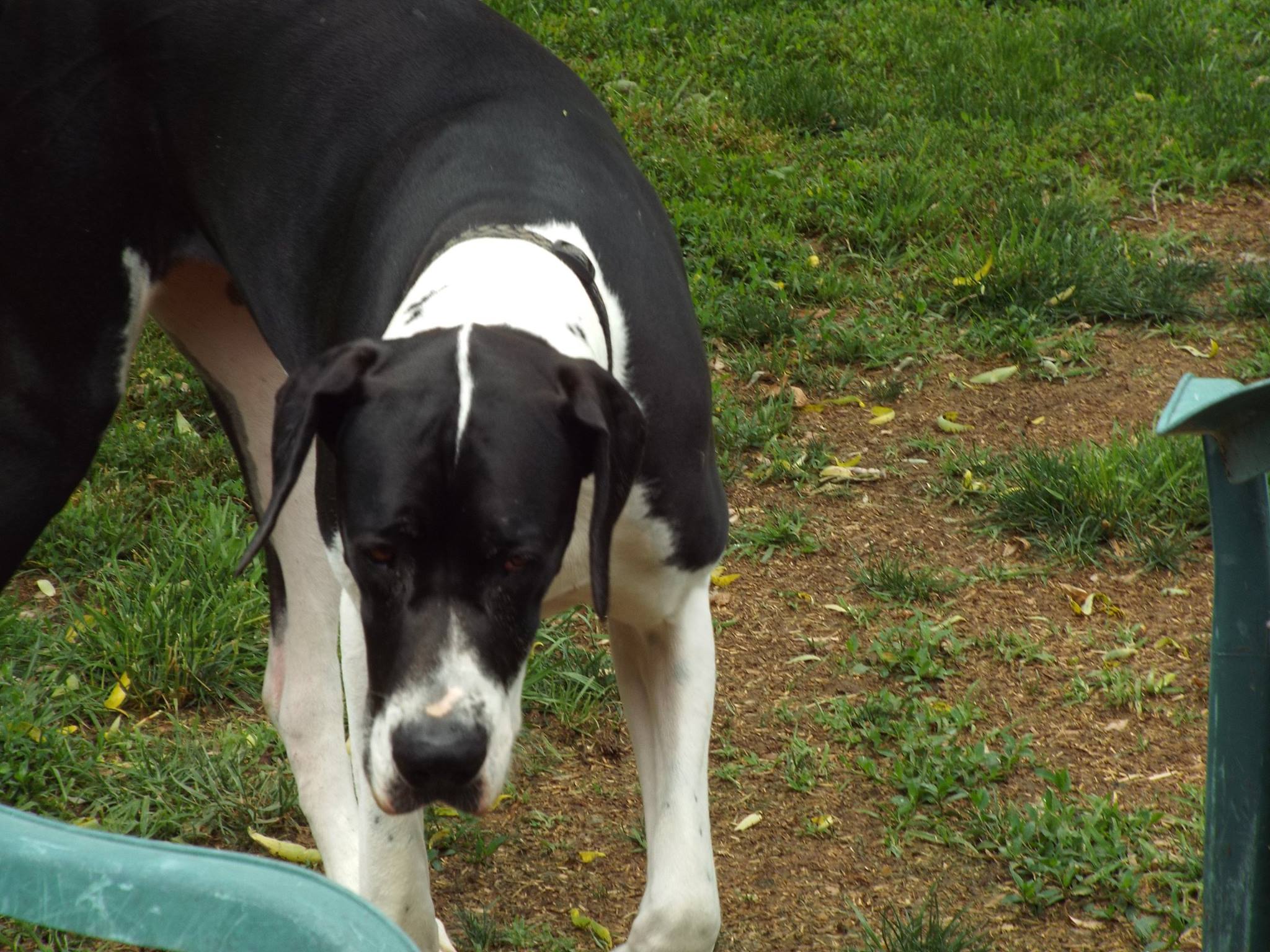 Daisy Dane The Supermodel Was In Good Form Today Facebook