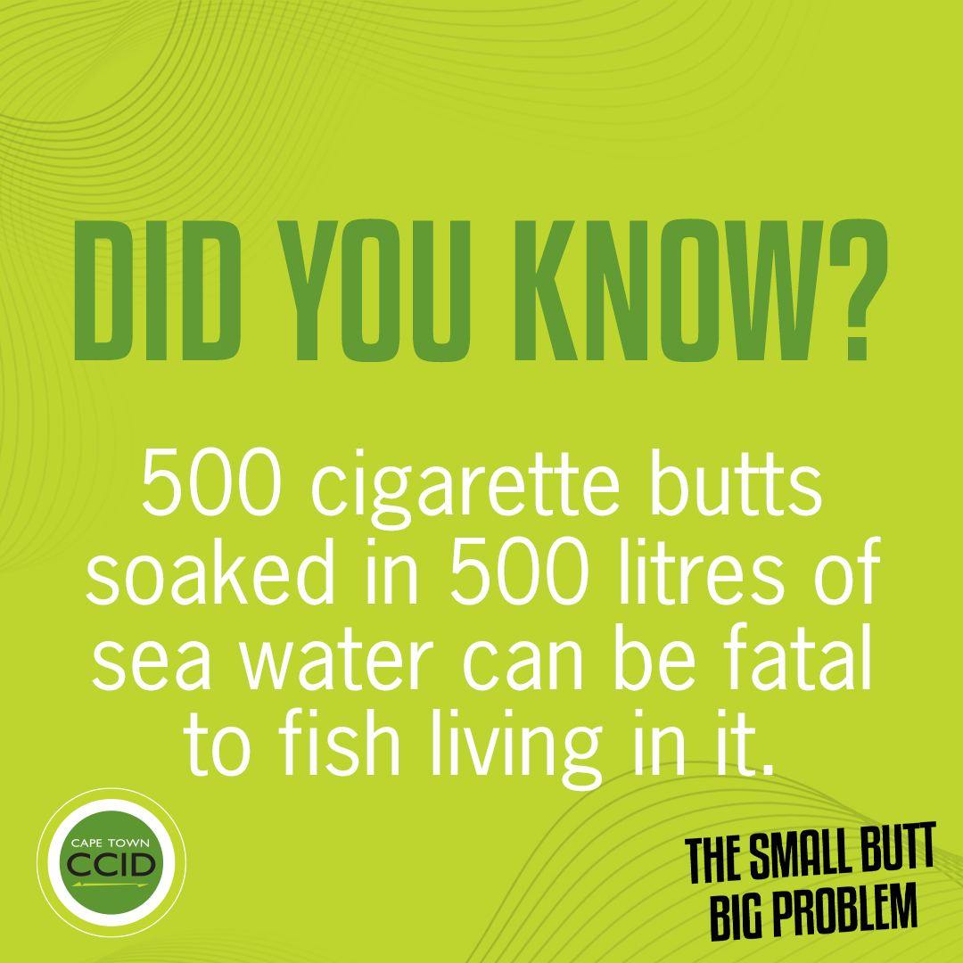 Plastics Sa The Small Butt Big Problem Is Ours To Solve Facebook