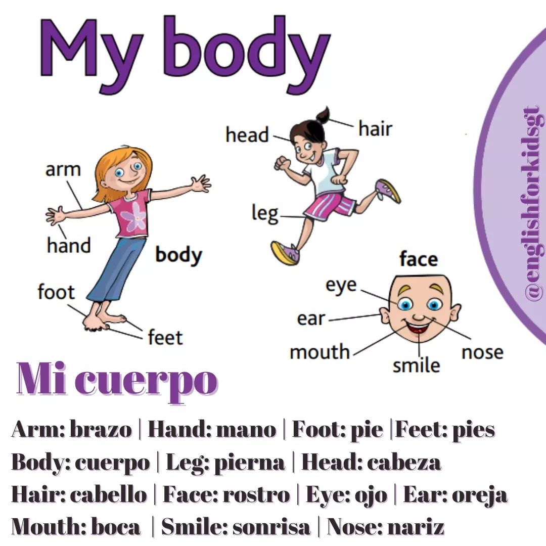 English vocabulary! My body (Mi... - English For Kids | Facebook