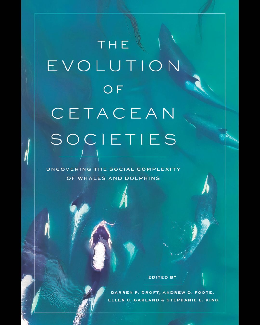 Center for Whale Research - We’re thrilled to announce our involvement ...