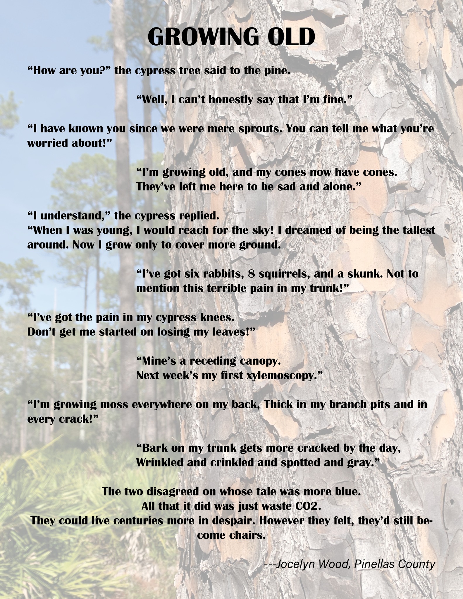 Florida Project Learning Tree | Gainesville FL