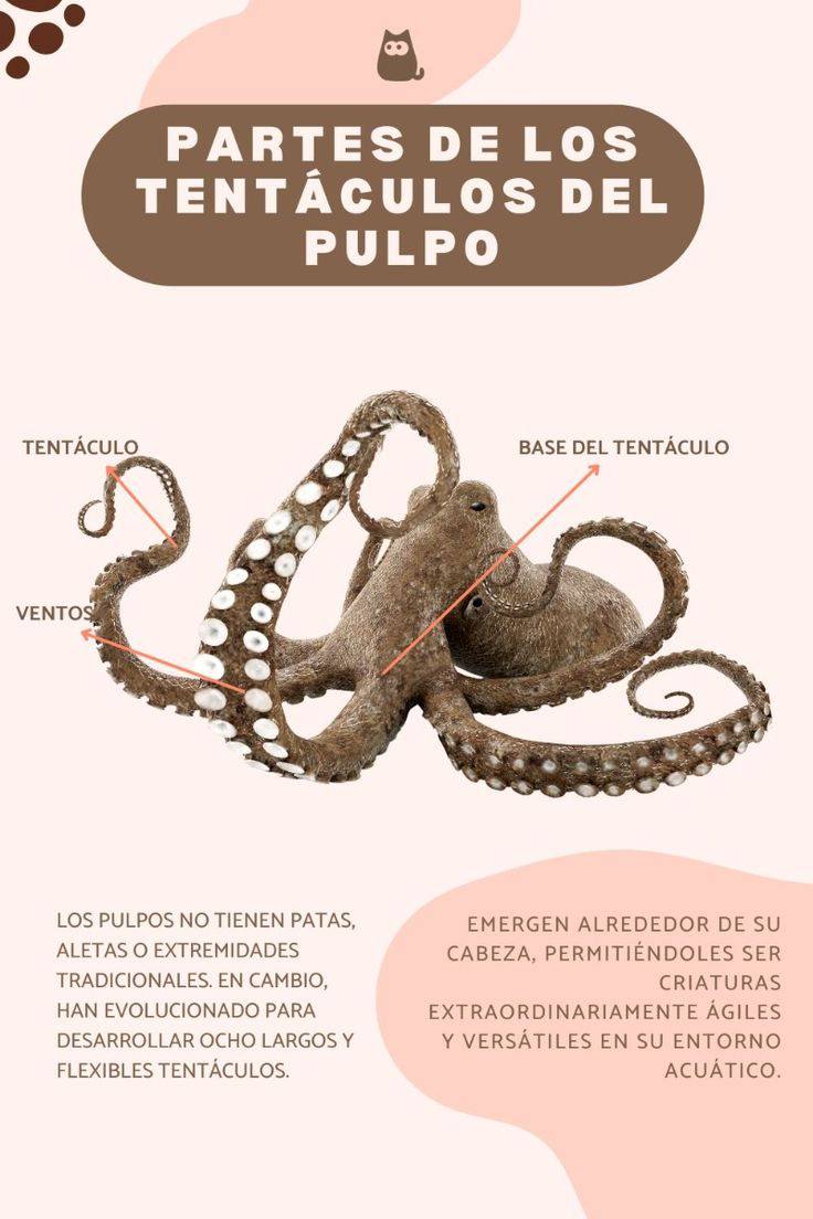 San Marcos Preguntas tipo... - San Marcos Preguntas tipo